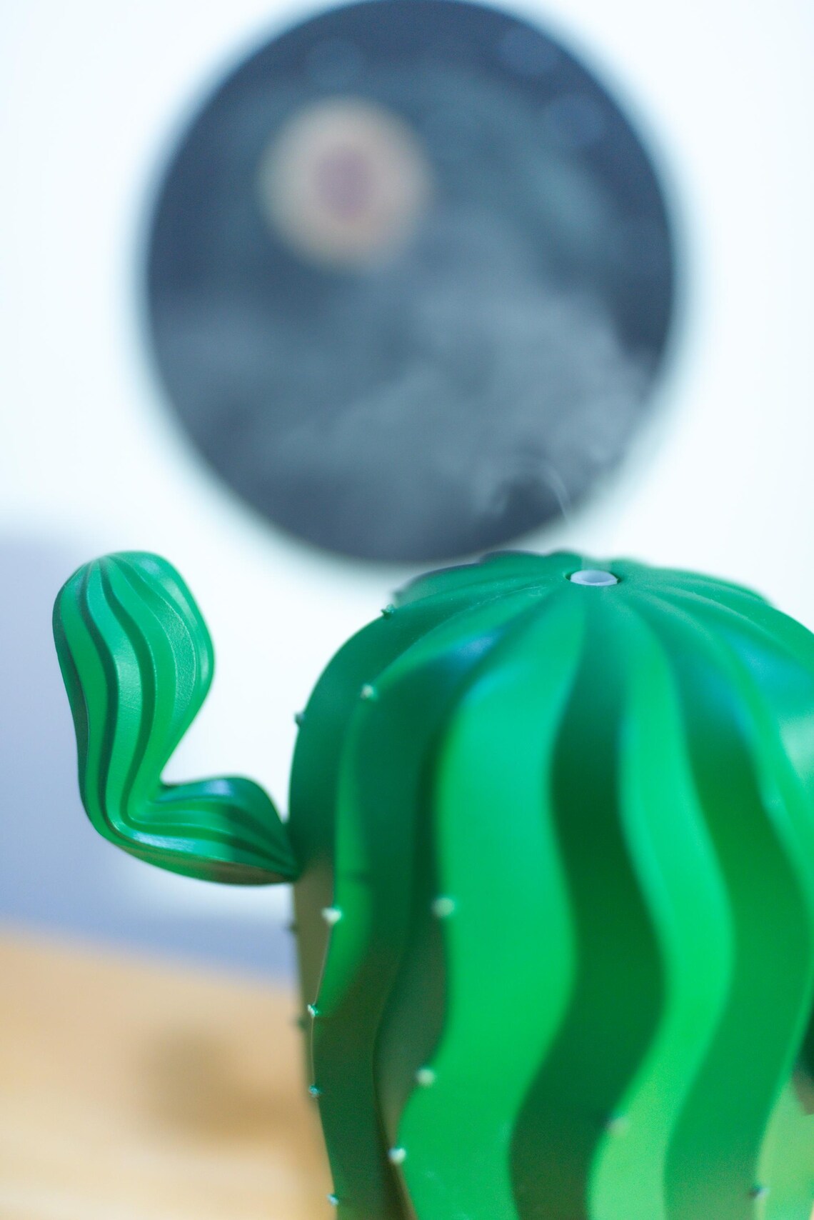 Cactus ｜ Diffuser ｜ Humidifier ｜ Oil Diffuser - Etsy