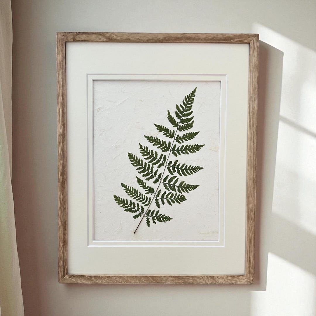 Pressed Fern Framed Wall Art: Natural Wood Frame, Woodland Decor - Etsy UK