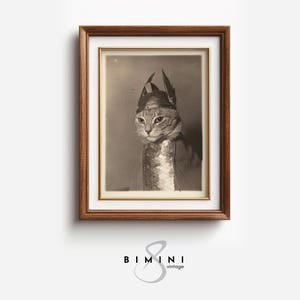 Vintage Cat Photo Print Brunnhilde, Antique Cat Photo Art, Viking Cat ...
