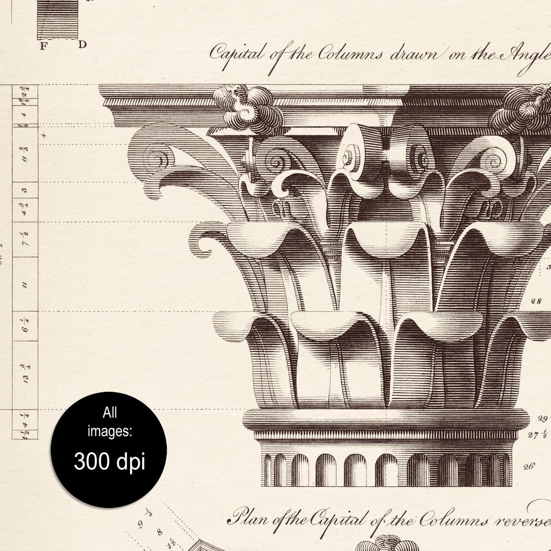 Set of 3 Detailed Architecture Drawing Prints, Classic Roman Column ...