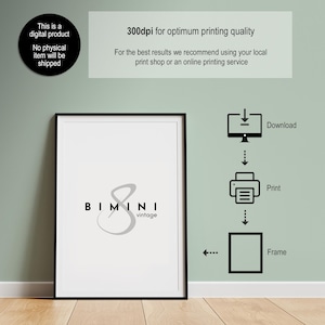 Vintage Cat Photo Print Brunnhilde, Antique Cat Photo Art, Viking Cat ...