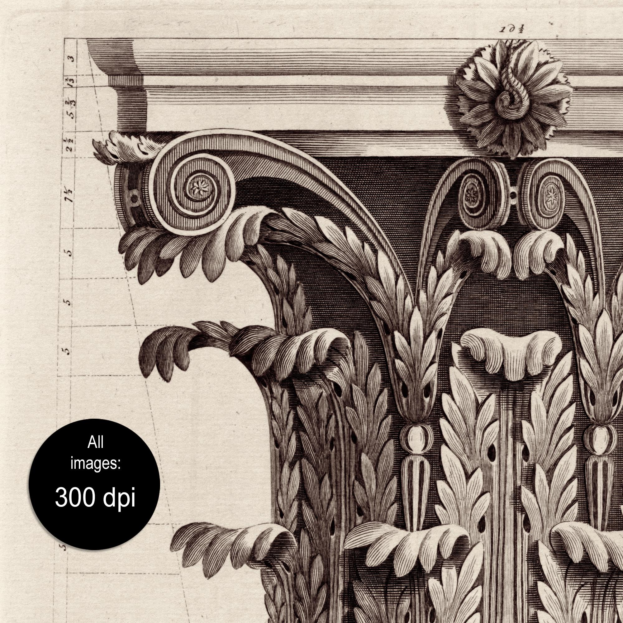 Detailed Architecture Drawing Print, Classic Roman Column Architecture ...