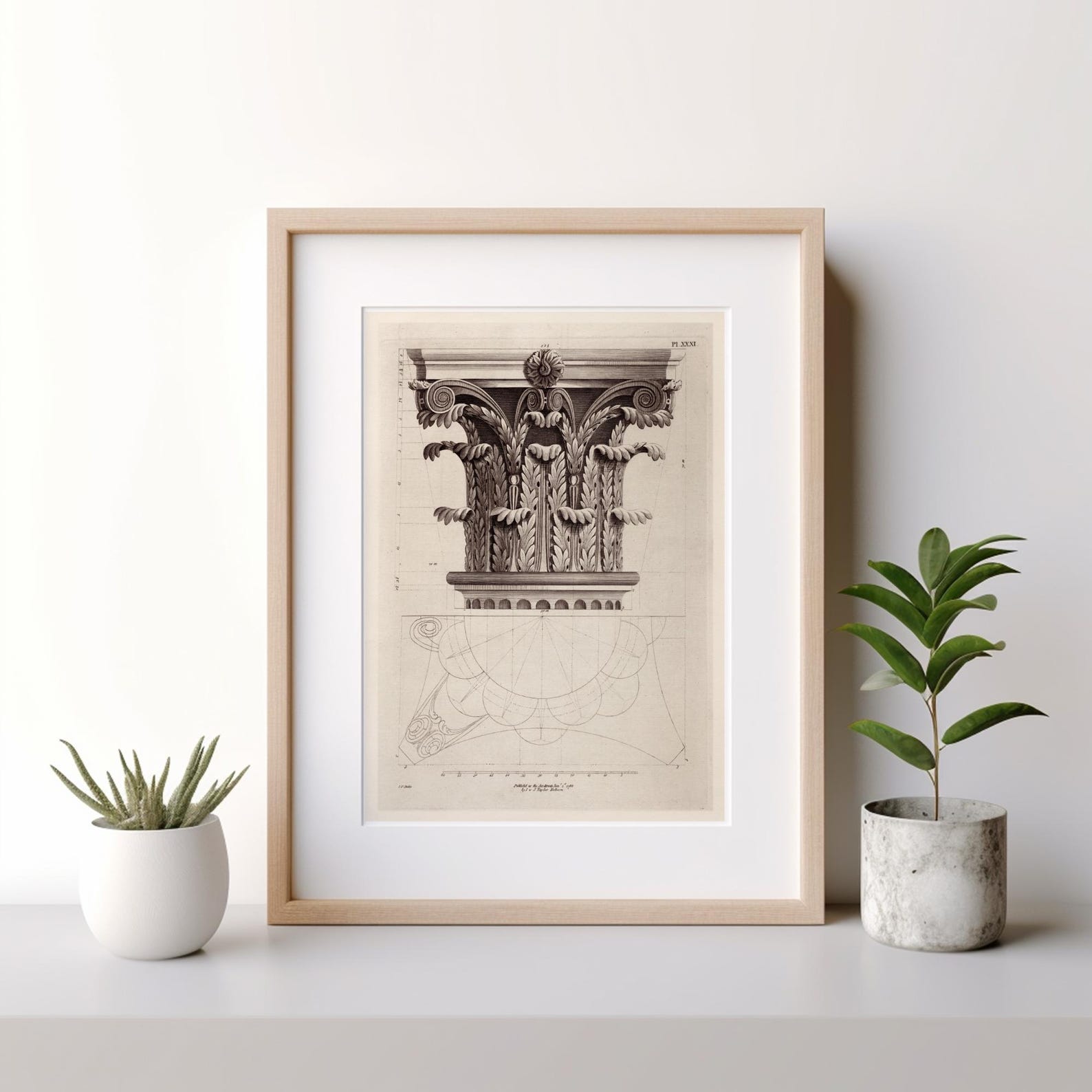 Detailed Architecture Drawing Print, Classic Roman Column Architecture ...