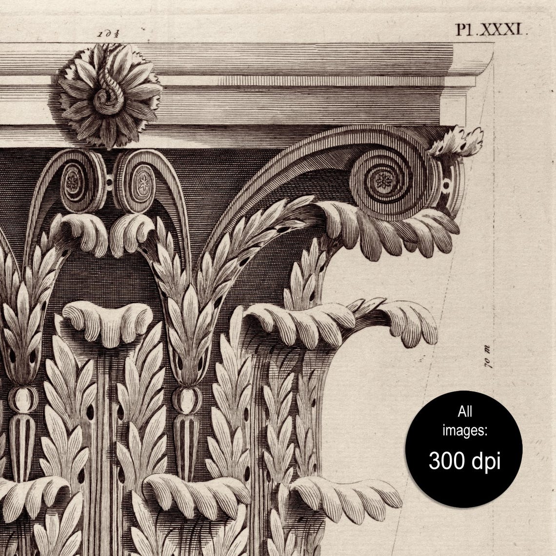 Detailed Architecture Drawing Print, Classic Roman Column Architecture ...