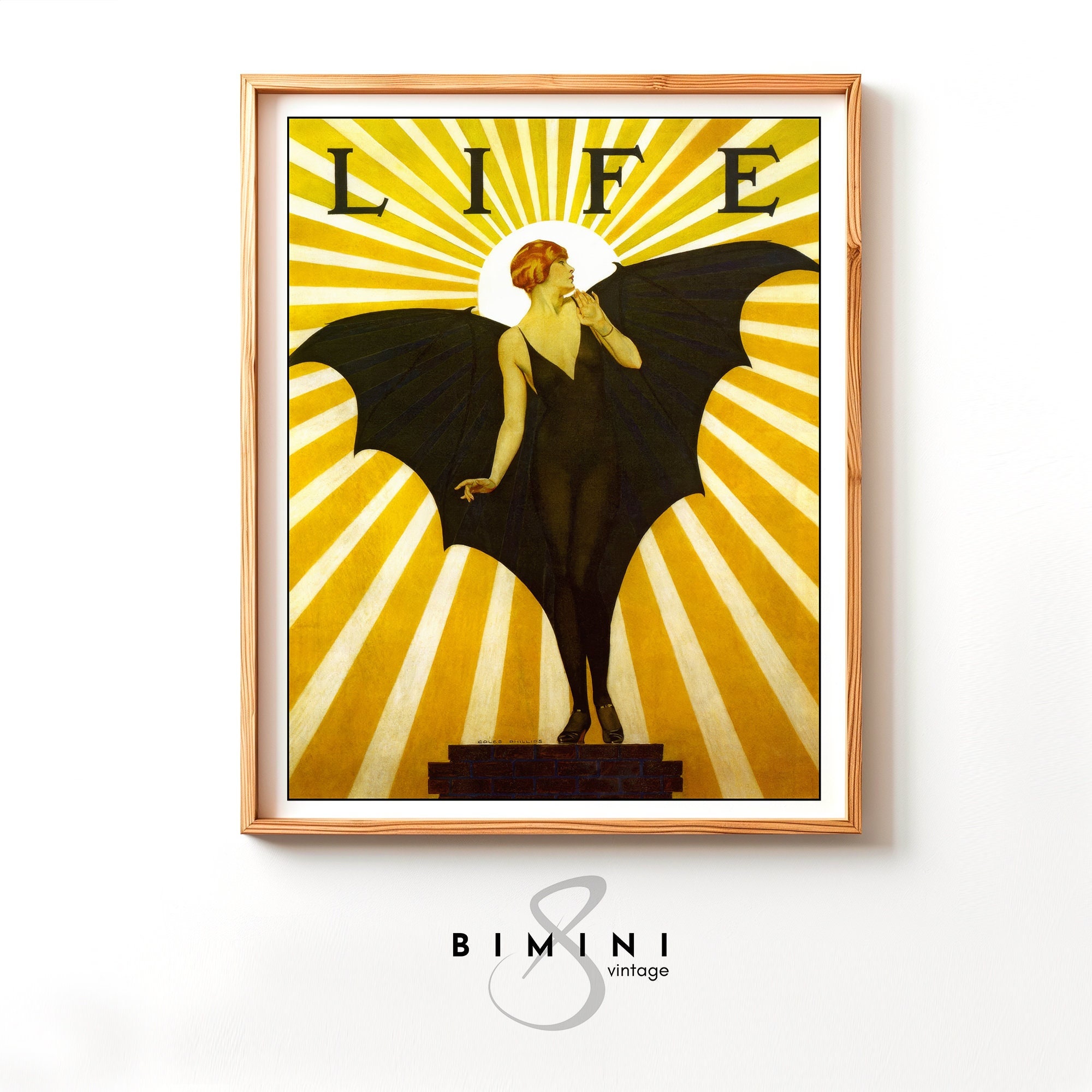 Vintage Life Magazine, Flapper Bat Woman, Coles Phillips Art Deco Wall ...