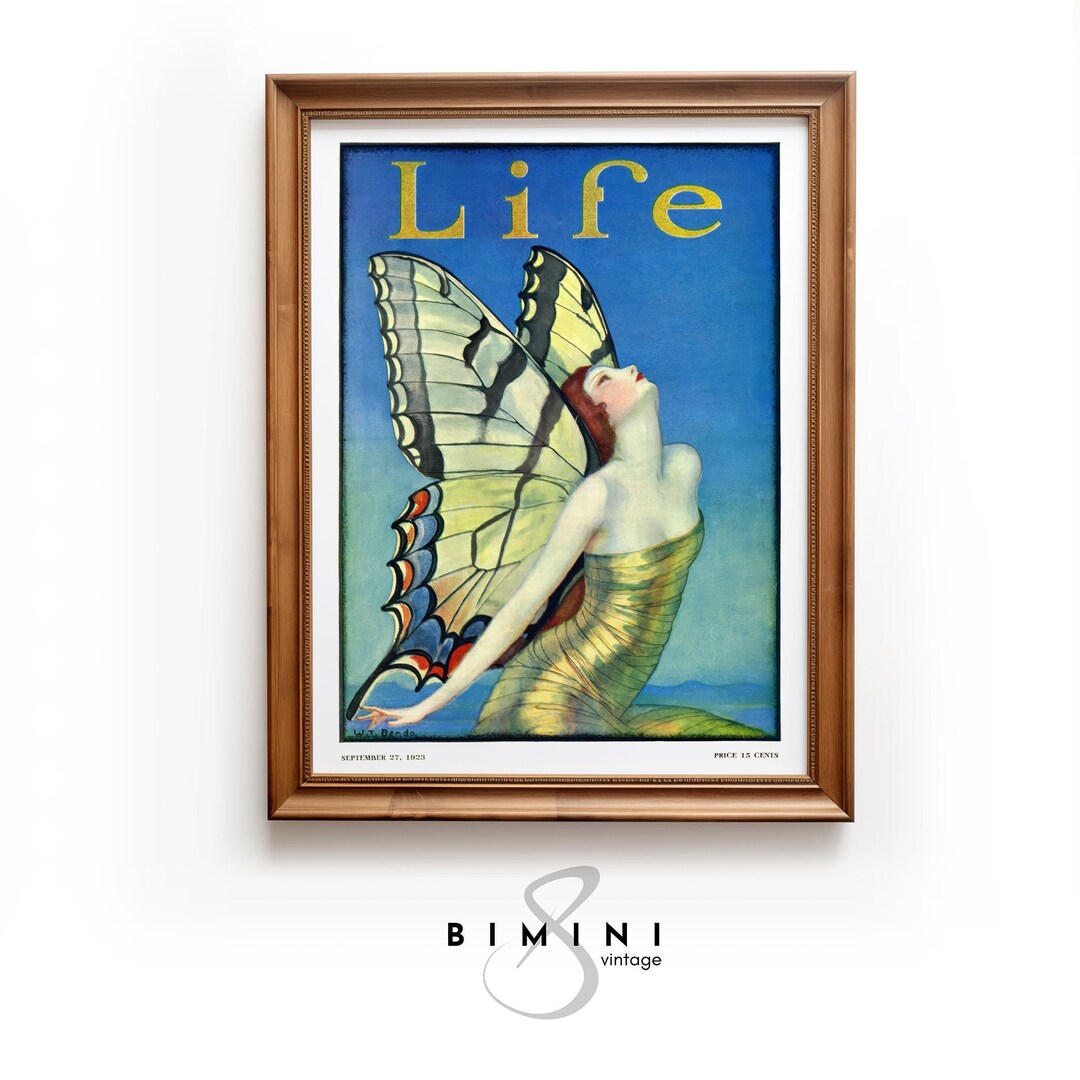 Vintage Life Magazine Cover, the Butterfly, Butterfly Wall Art, Vintage ...