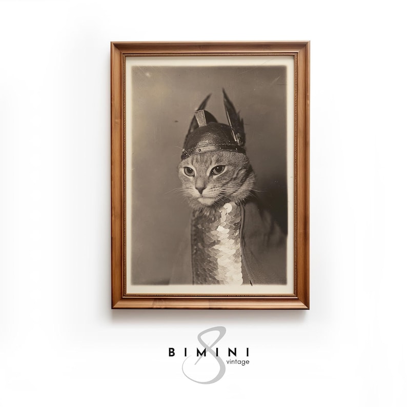 Vintage Cat Photo Print Brunnhilde, Antique Cat Photo Art, Viking Cat ...