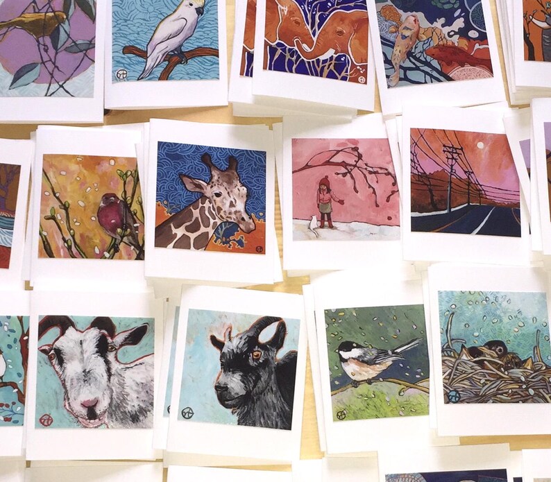 Chipmunk Card, Birthday Card, Holiday Greeting Card, Squirrel Card ...