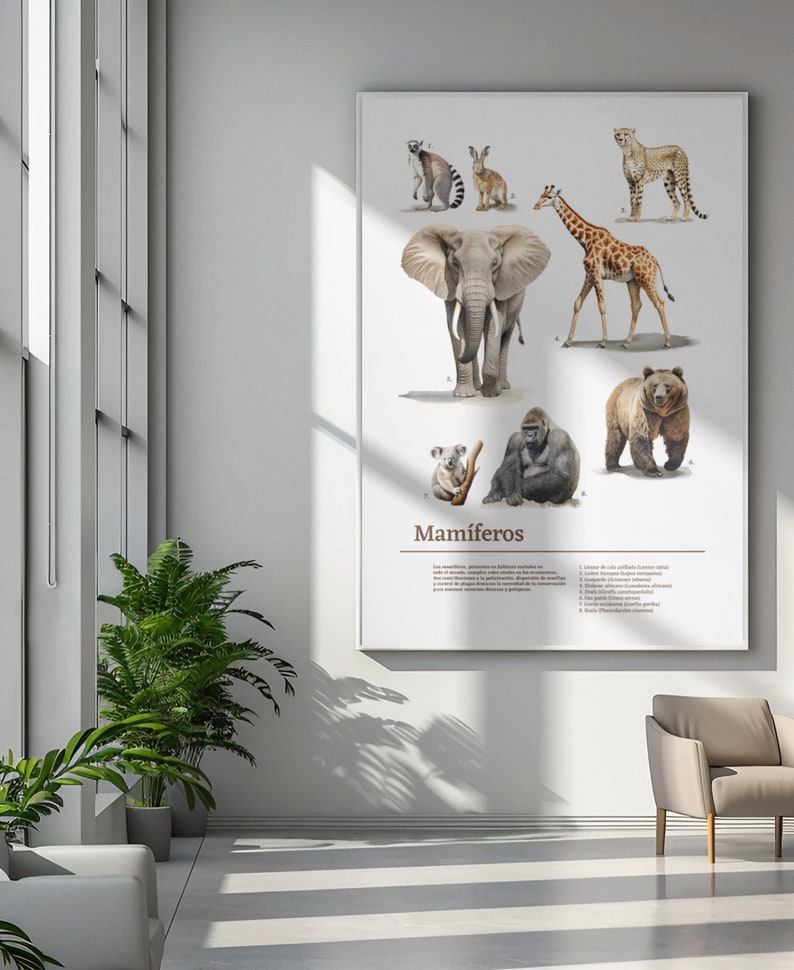 Mamiferos Educational Posters Wild Animals Poster Farm Animals Poster ...