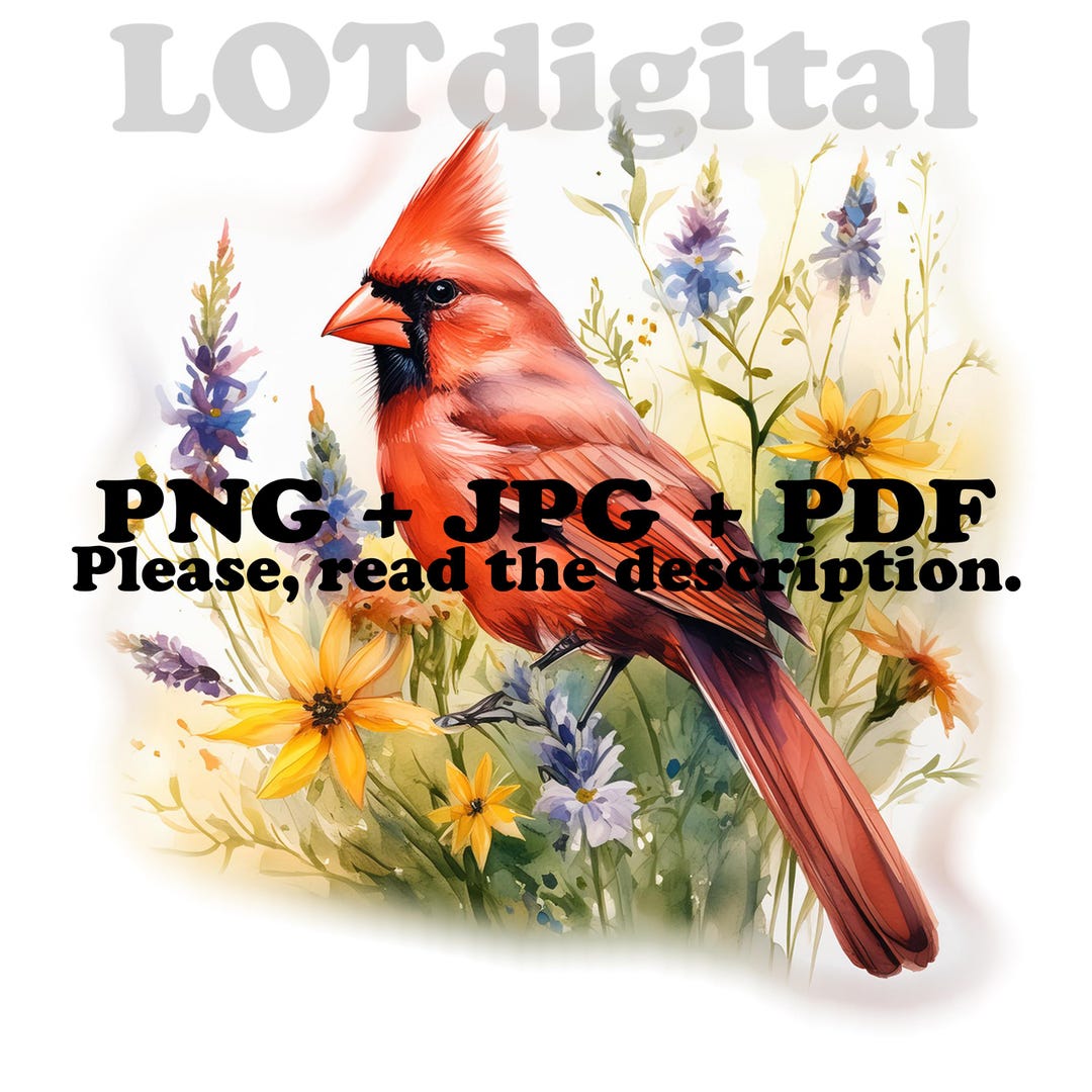 Cardinal Clipart 4 Cardinal Sublimation Designs PNG Commercial License ...