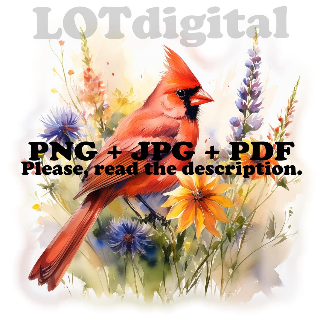 Cardinal Painting 4 Png Sublimation Designs PNG Commercial License ...