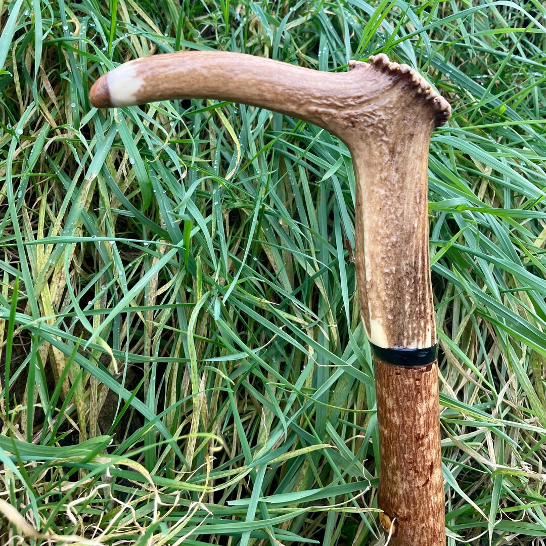 Blackthorn Tall Staff Hiking Stick With Antler - Etsy UK