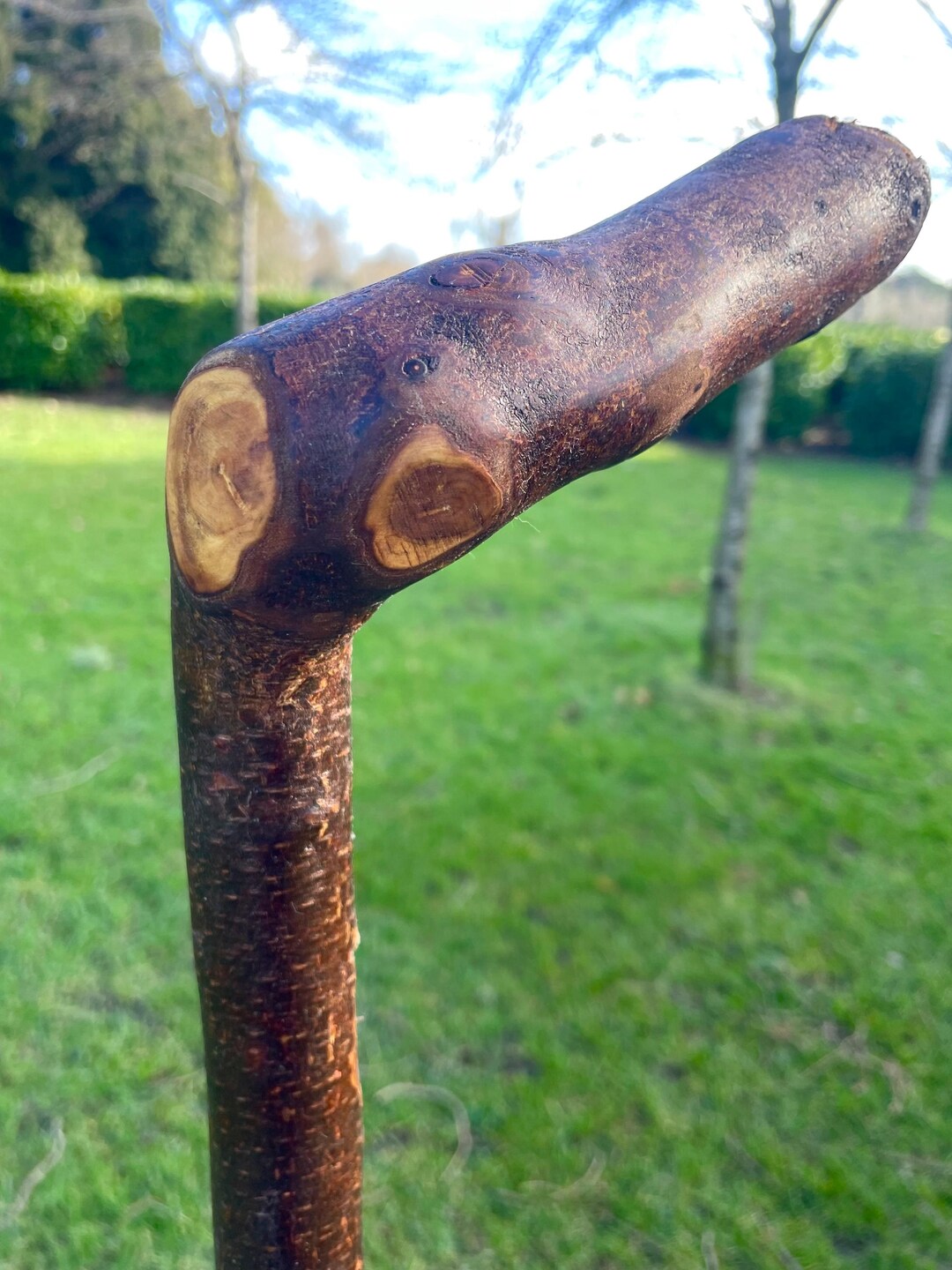 Blackthorn Irish Walking Stick With Handy L Handle - Etsy