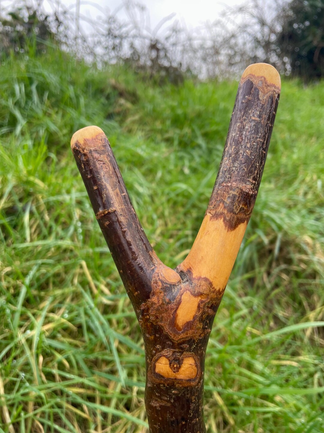 Blackthorn Tall Staff Hiking Stick - Etsy