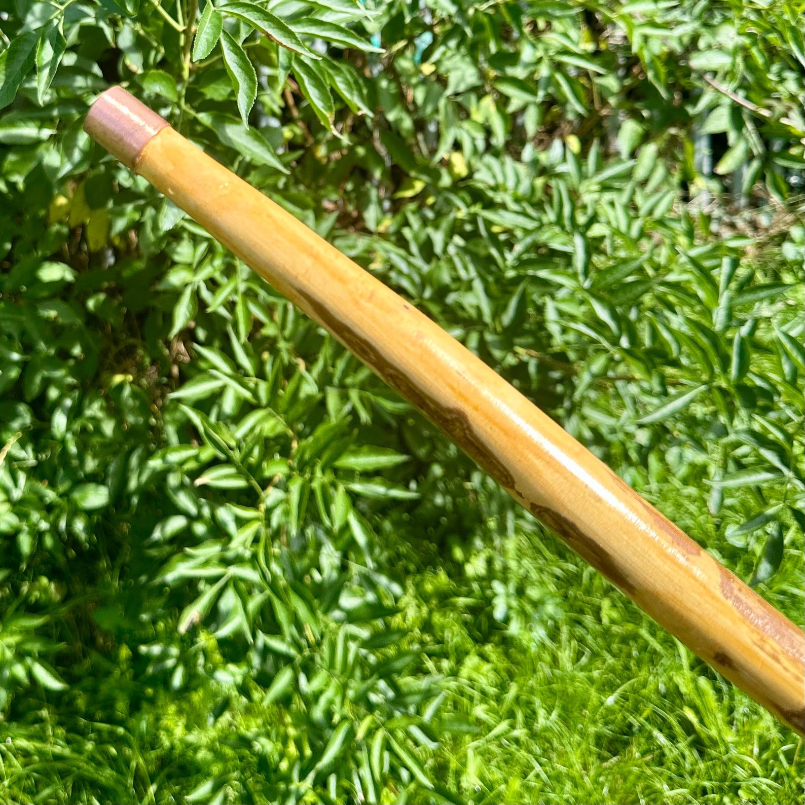 Irish Hazel Wood Walking Stick - Etsy
