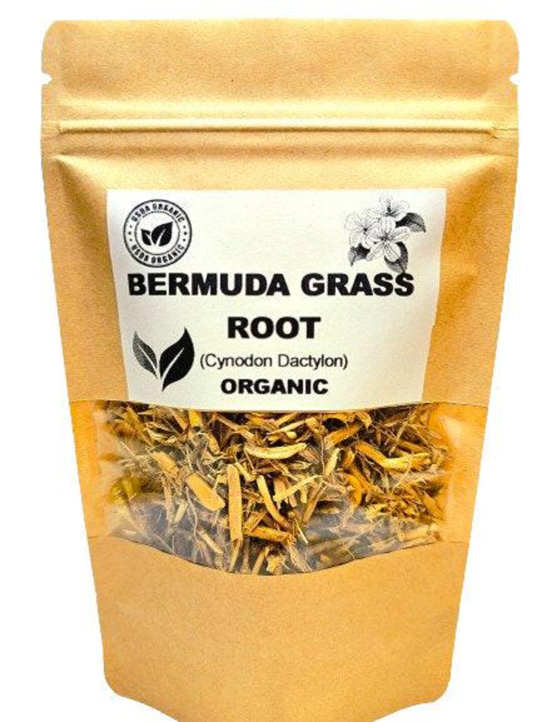 Organic Bermuda Grass Root | Cynodon Dactylon | Bermuda Grass Tea ...