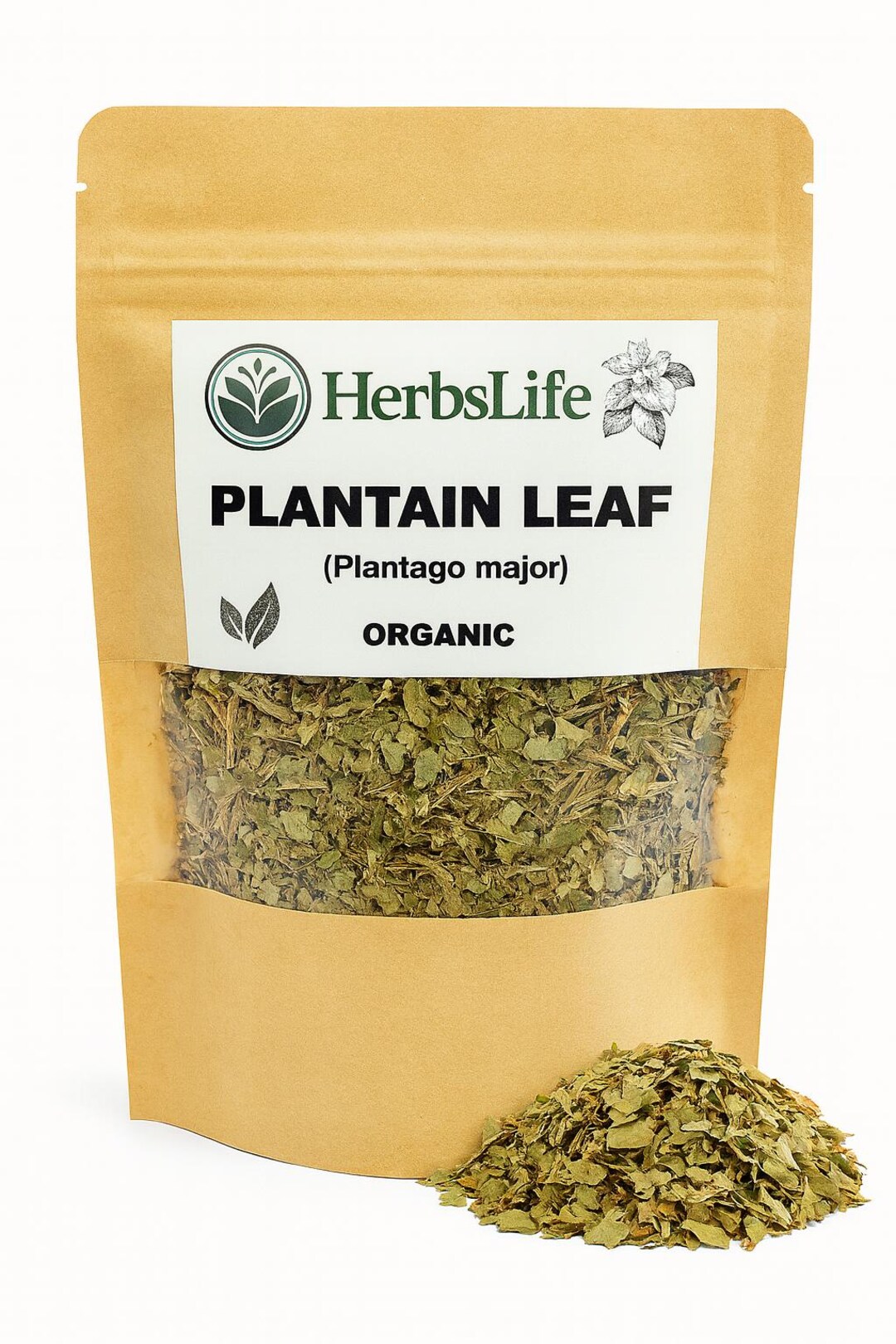 Organic PLANTAIN LEAF | Plantago Major Dried Cut Leaf | Herbal Tea ...