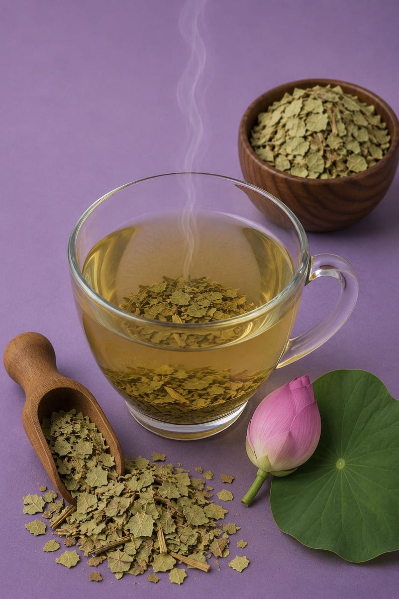 LOTUS LEAF | Nelumbo Nucifera Dried Cut | Herbal Tea, Apothecary ...