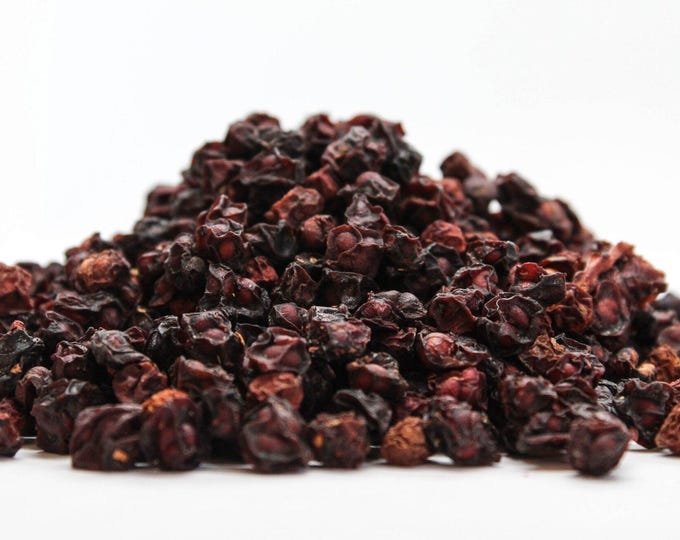 Schisandra Vine (eastern Prince) - Etsy