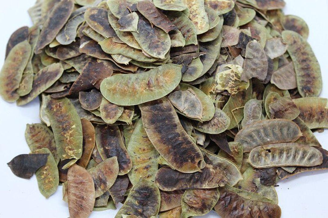 Organic SENNA PODS | Cassia Angustifolia | Senna Pods Tea | Cassia ...