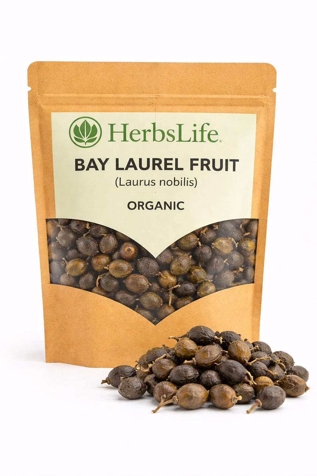 Organic BAY LAUREL FRUIT | Laurus Nobilis | Dried Culinary, Botanical ...