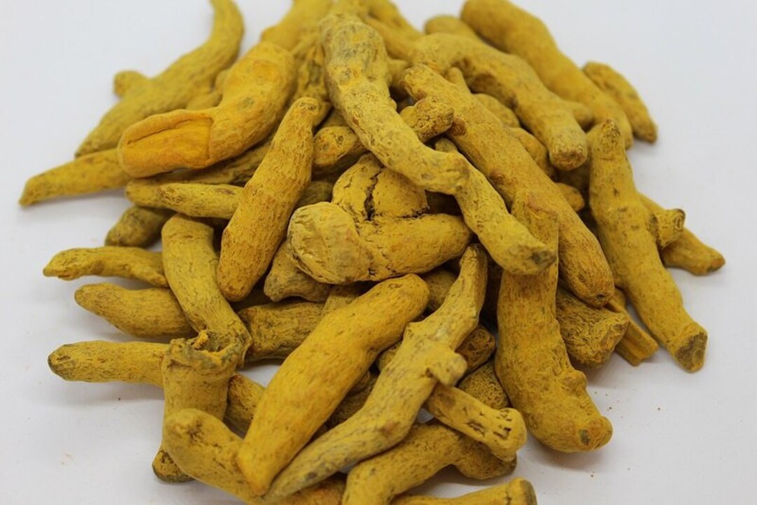 Organic TURMERIC ROOT | Curcuma Long | Turmeric Root Tea | Dried Root ...