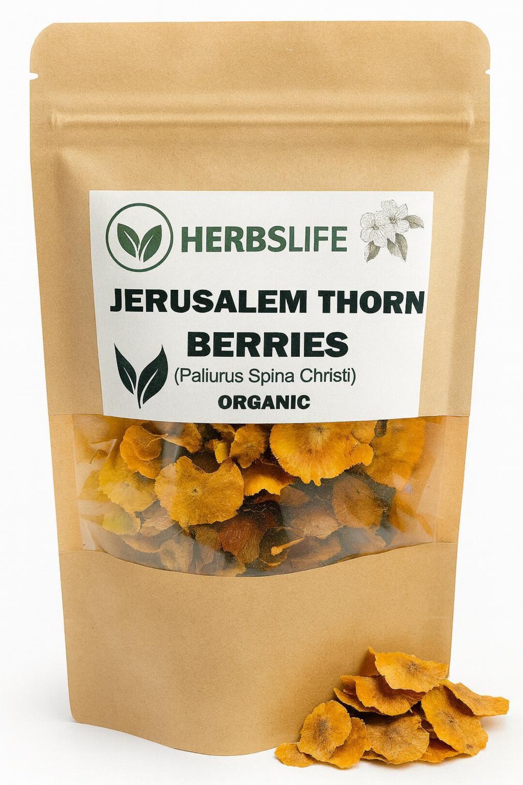 Jerusalem Thorn Berries | Paliurus Spina Christi | Christ's Thorn ...