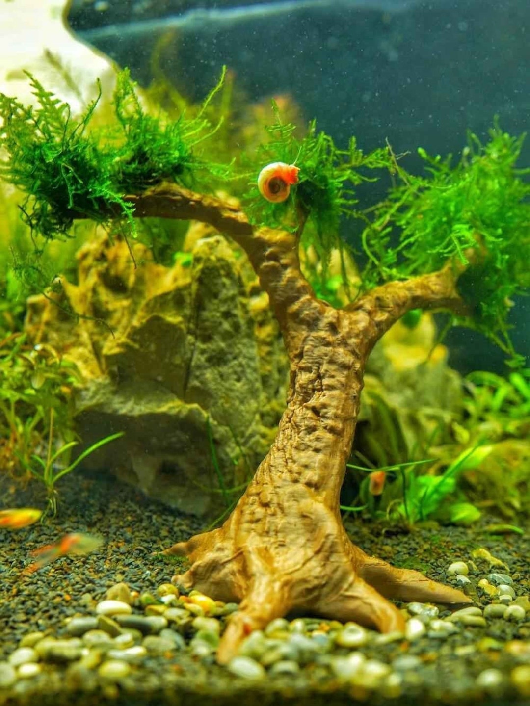 3D Printed Aquarium Tree Decoration With Shrimp Hiding Spot - Crafted ...