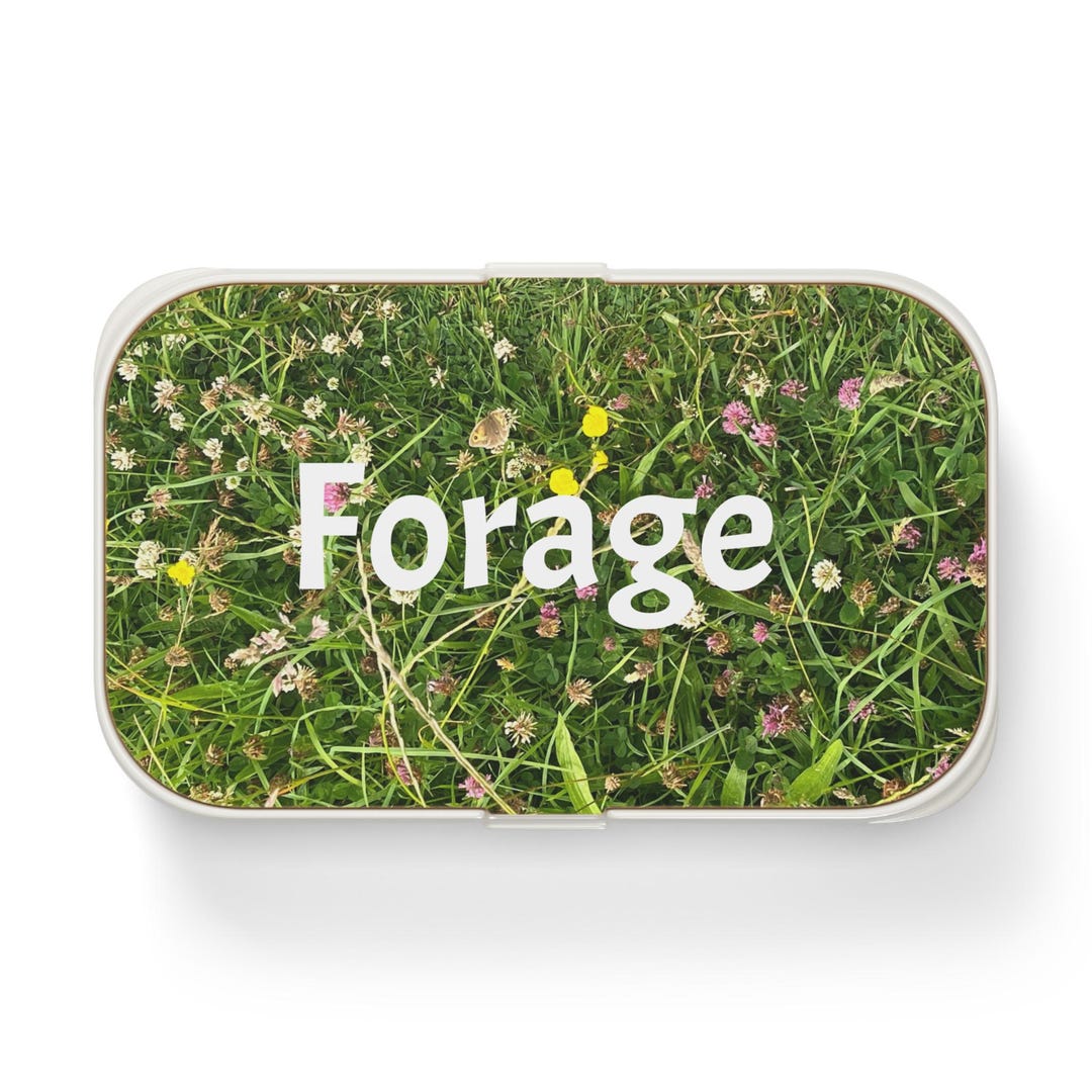 Forage Bento Lunch Box, Grass Meadow Buttercup, Japanese Food Separator ...