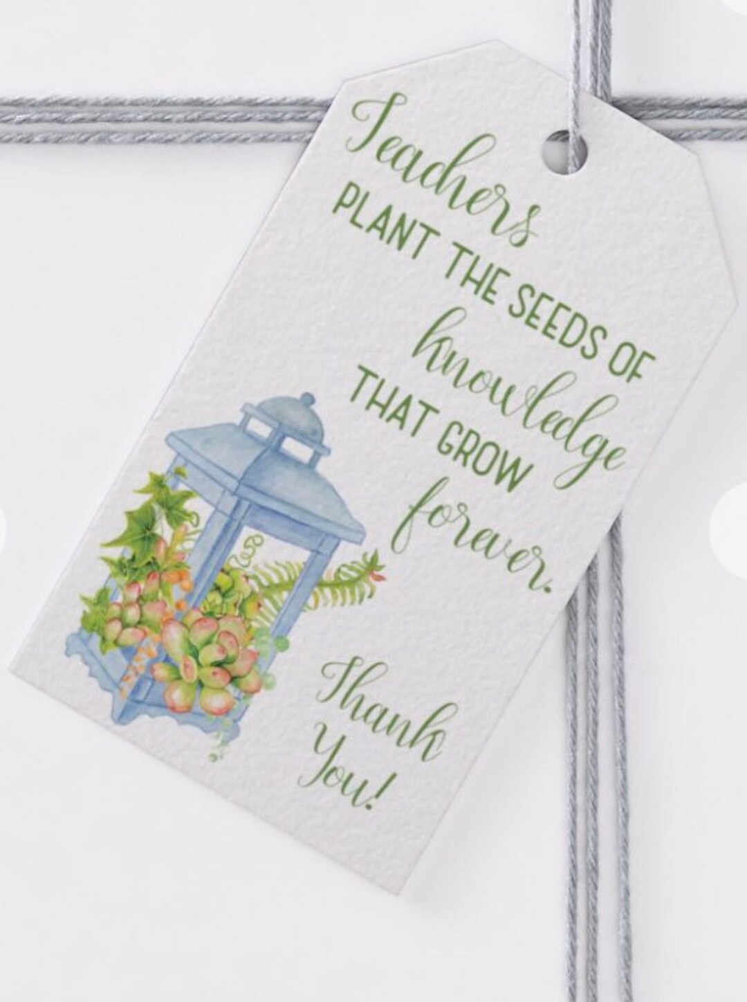 Teachers Plant the Seeds of Knowledge That Grow Forever, Succulents ...