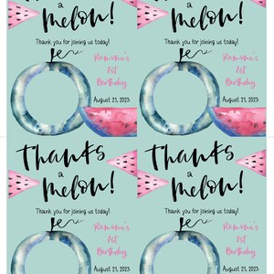 Thanks a Melon! Watermelone Themed Birthday Party Play Doh Party Favor ...