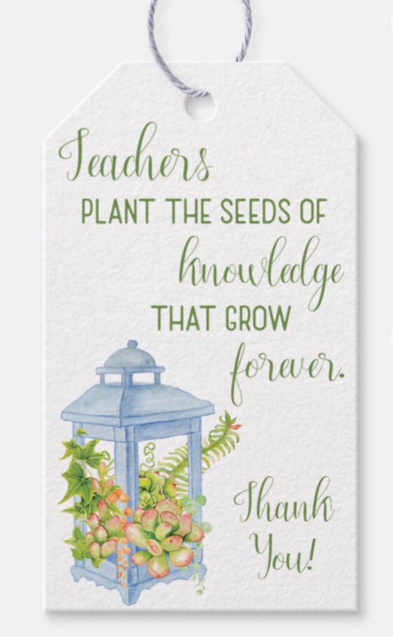 Teachers Plant the Seeds of Knowledge That Grow Forever, Succulents ...
