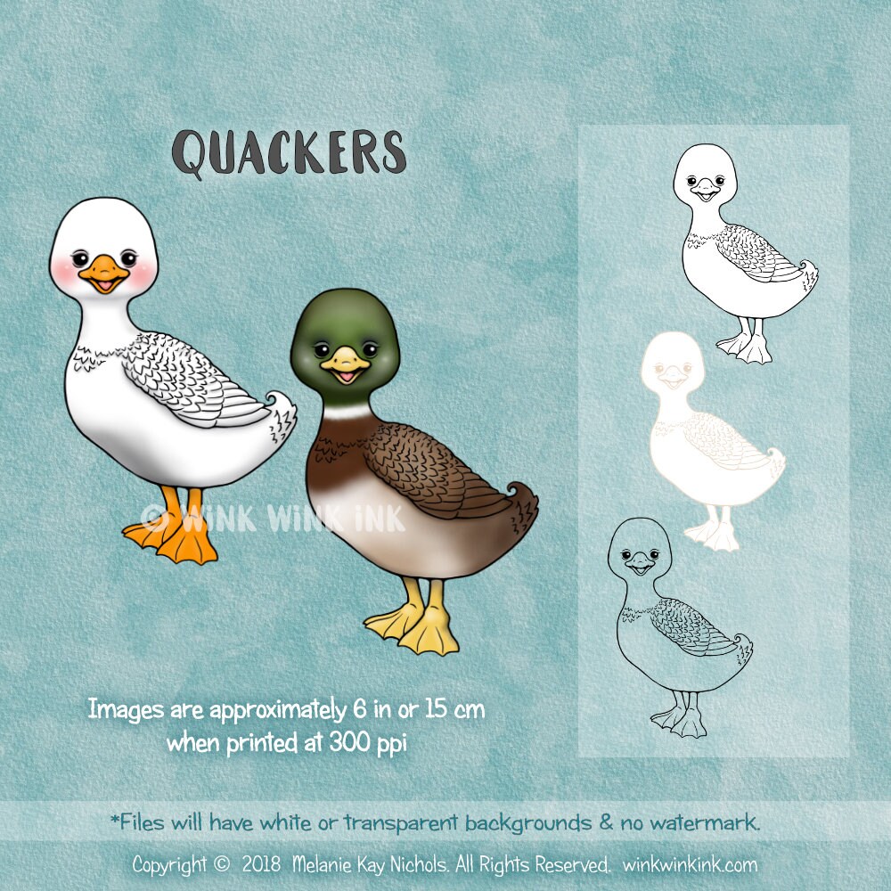 Digital Stamp - Quackers - Cute Duck or Goose Printable Digi Image - Etsy