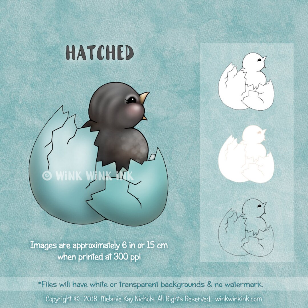 Digital Stamp - Hatched - Baby Bird in an Egg Printable Digi Image - Etsy