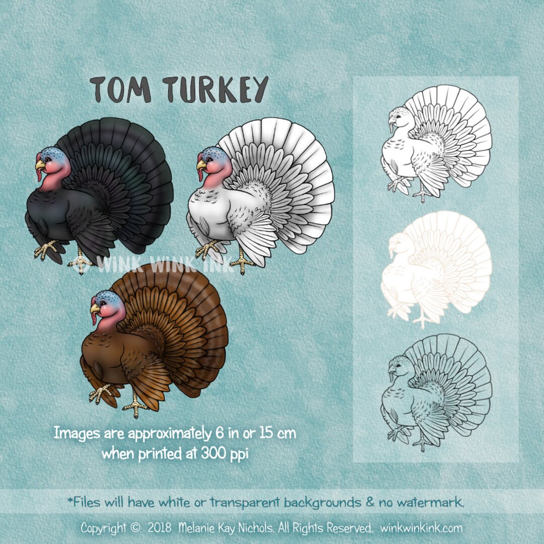 Digital Stamp - Tom Turkey - Thanksgiving Digi With Bonus Colored ...
