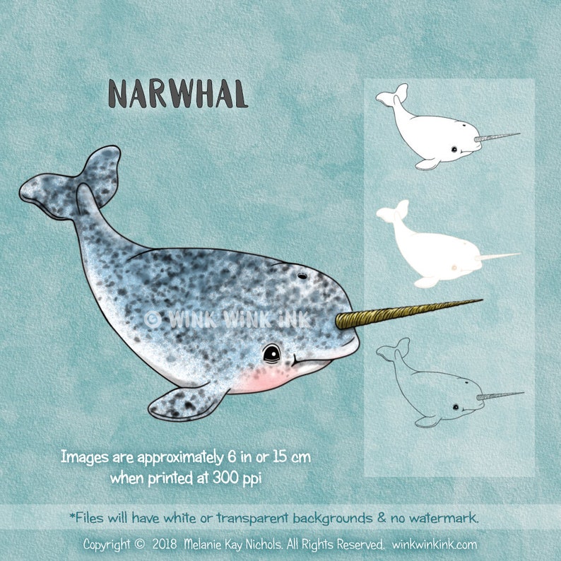 Digital Stamp "narwhal" Cute, Little Whale Illustration for Cards ...