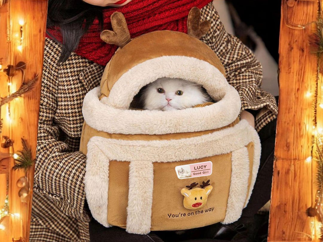 Customized Plush Winter Backpack for Small Pets - Warm & Stylish Travel ...