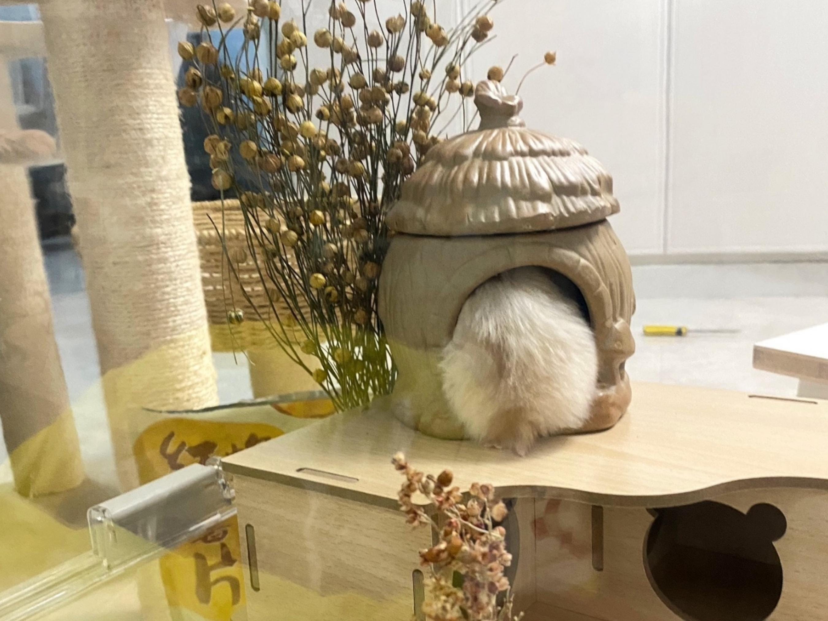 Handmade Ceramic Hamster Hideout House, Rock Acorn Shaped Hide Cave for ...