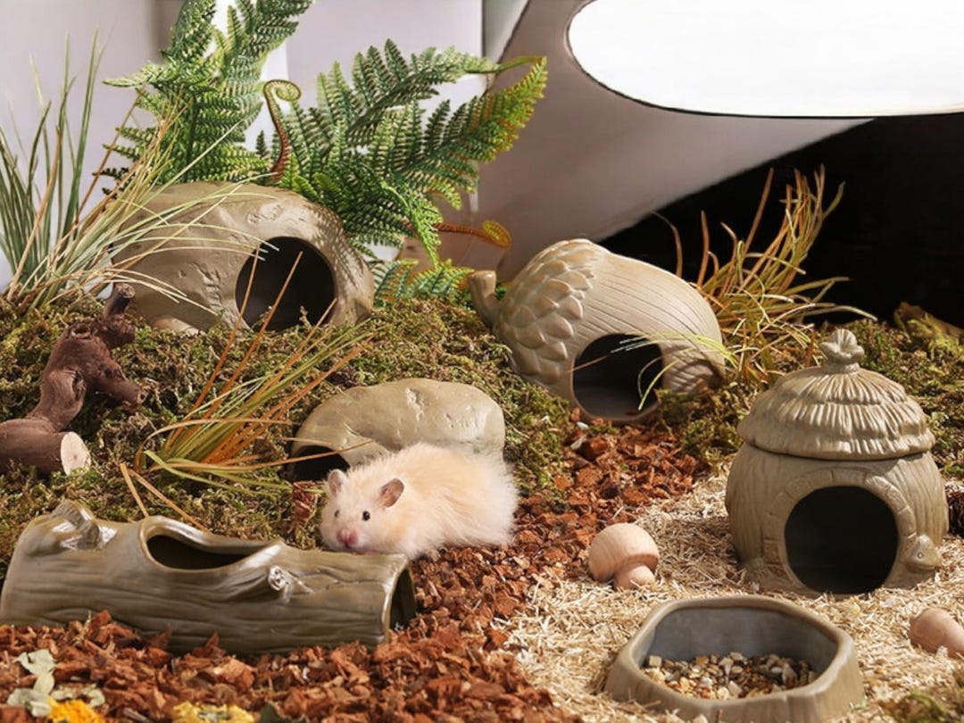 Handmade Ceramic Hamster Hideout, Acorn Shaped Hide Cave - Etsy