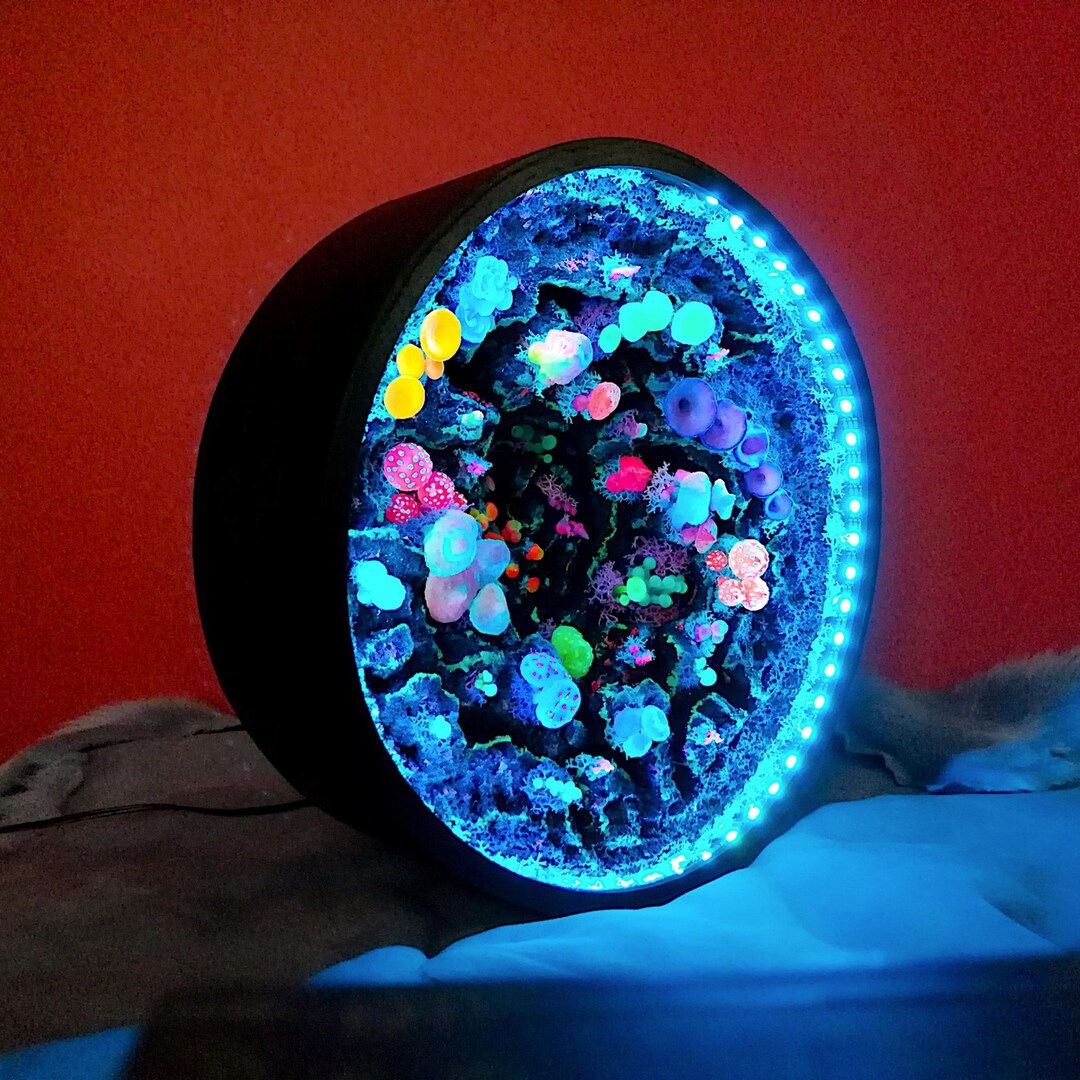 Glowing Rainbow Mushroom Cluster - 3d Wall Night Light Art, Bluetooth ...