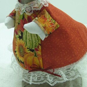 Goose Outfit in Fall Colors Rust Dress With Insert and Hat in Fall ...