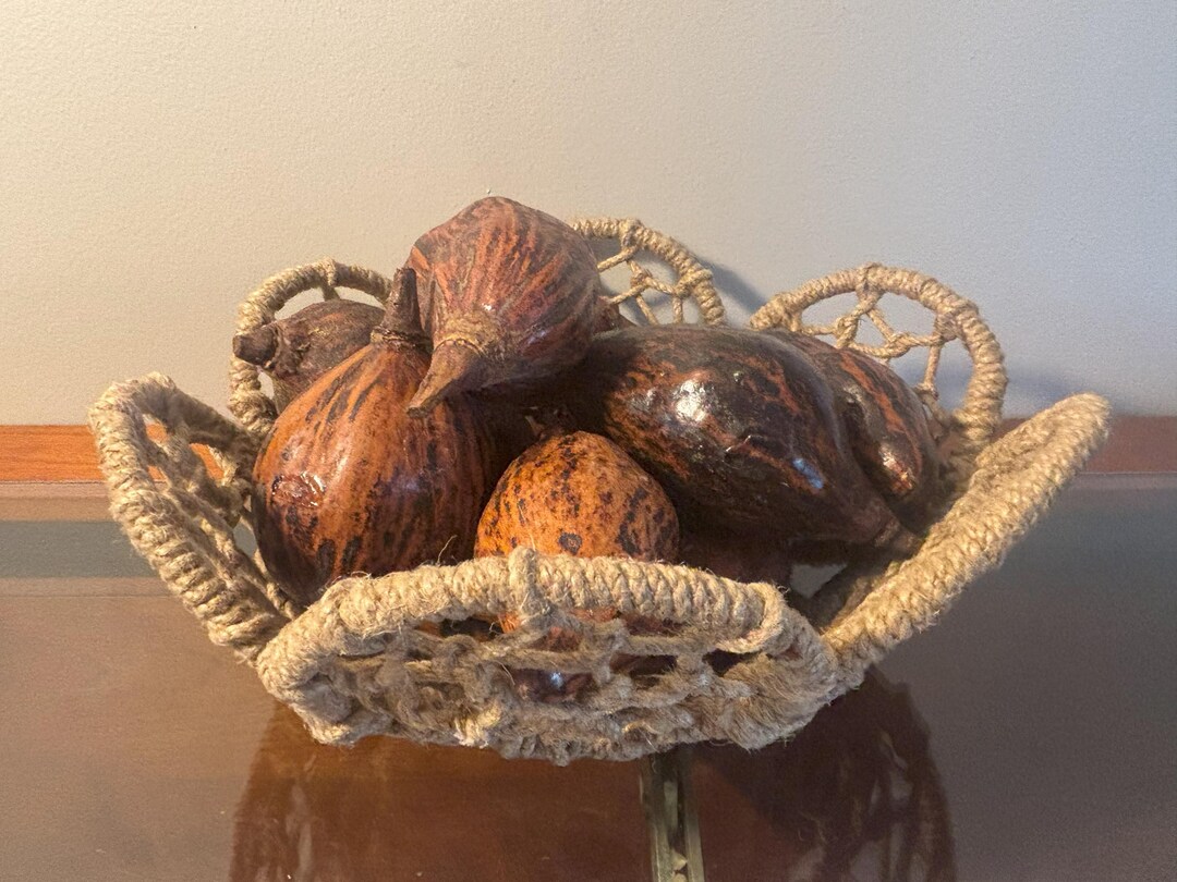 Jute Bowl and Seed Pods - Etsy
