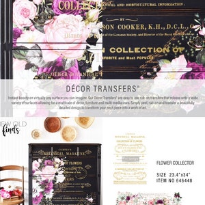 FLOWER COLLECTOR Furniture Transfers, Redesign With Prima, Prima ...