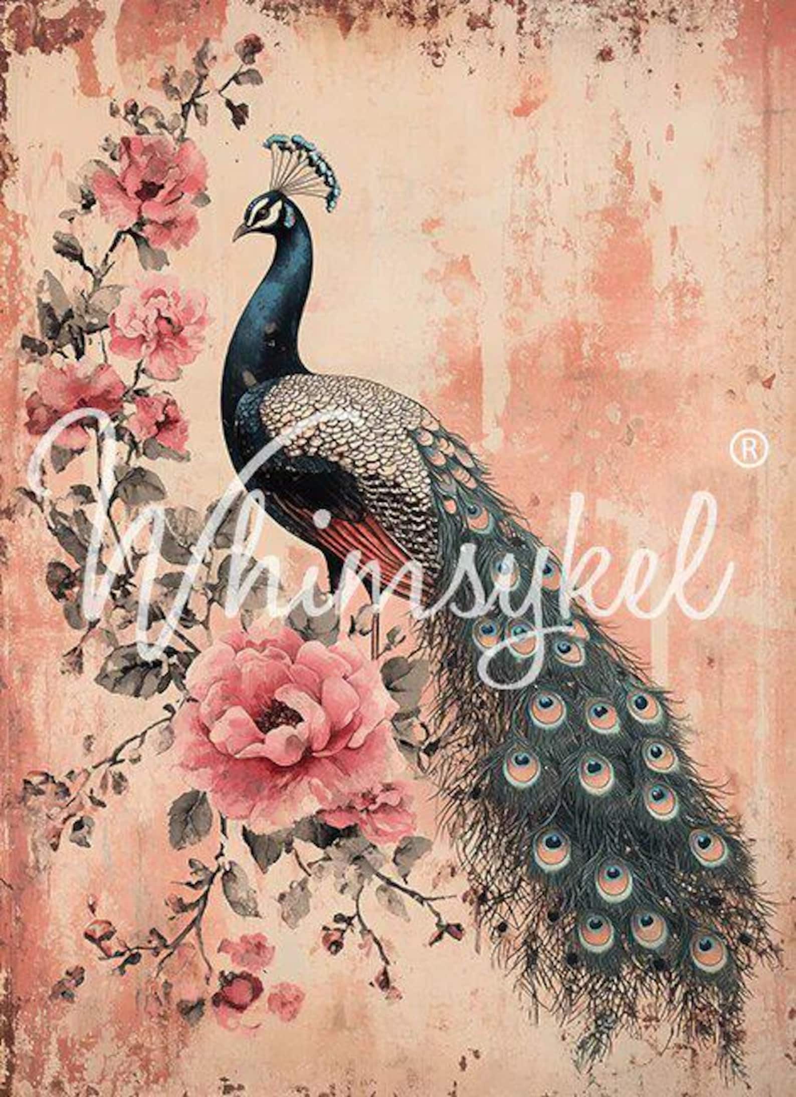 PEACOCK - Whimsykel Designs - Decoupage Paper - 21" by 29" - Etsy