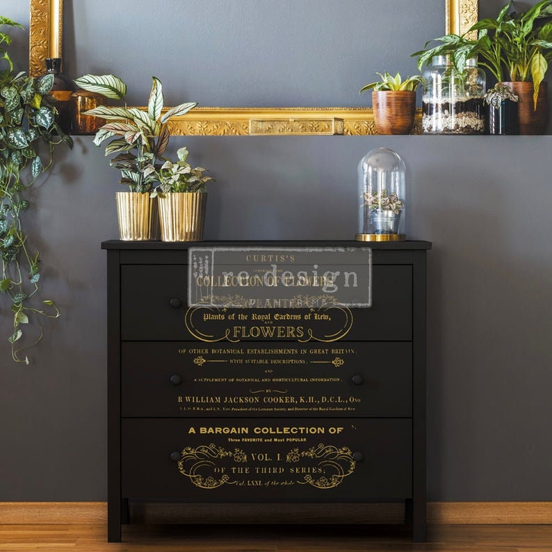 FLOWER COLLECTOR Furniture Transfers Redesign With Prima - Etsy