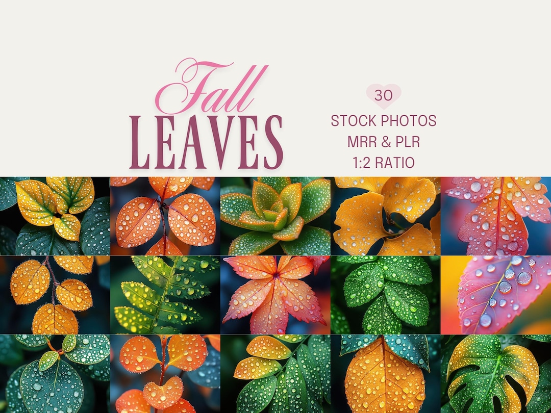 Colorful Fall Leaves Stock Photos With Dew Drops, Vibrant Fall Foliage ...