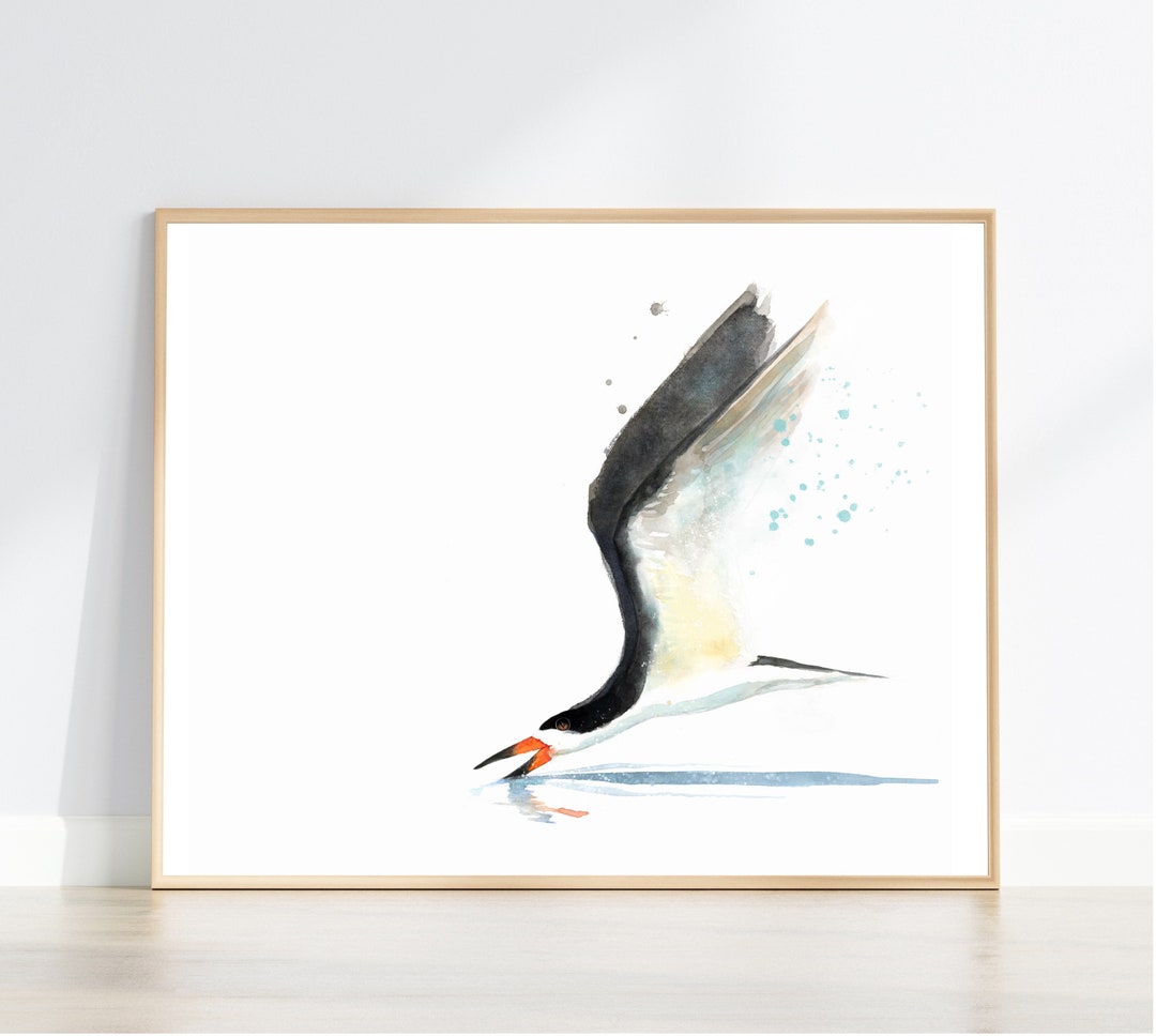 Black Skimmer Flying Watercolour Wall Art Print - Etsy