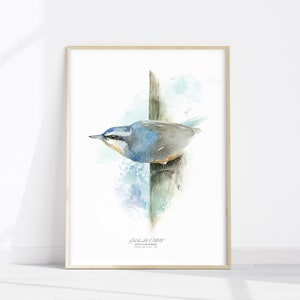 Red-breasted Nuthatch Customizable Woodland Watercolor Print - Etsy