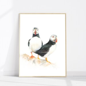 Atlantic Puffins Watercolor Bird Print Puffin Wall Art - Etsy