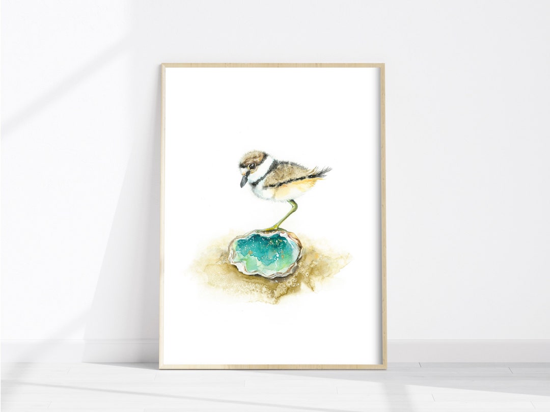 Cute Baby Plover Chick and Shell Watercolor Painting Coastal Print - Etsy